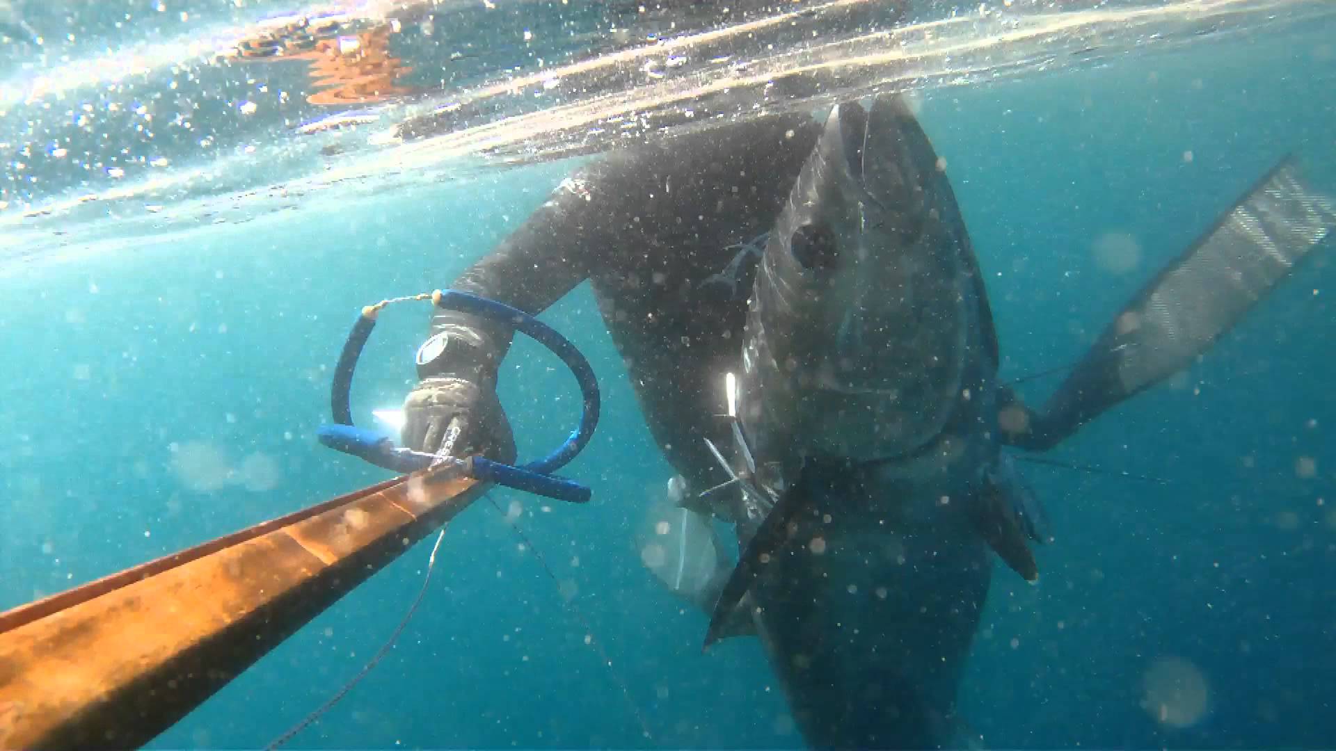 Ψαροτουφεκο σε ... πολύ βαθιά νερά!!!