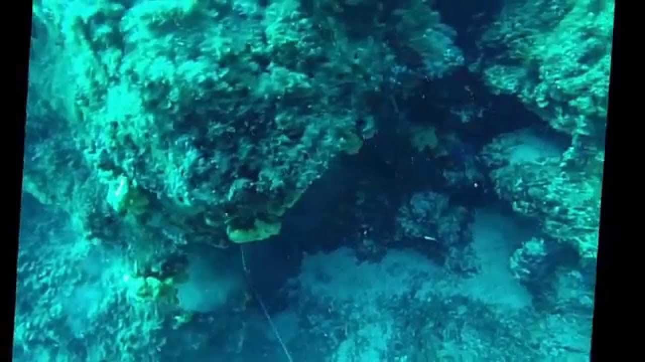 Ψαροτούφεκο: στήρα ροφός – Spearfishing