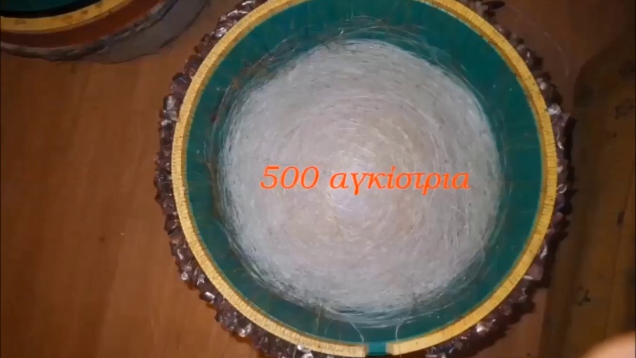 Ψάρεμα επαγγελματικό με παραγάδι & δίχτυ