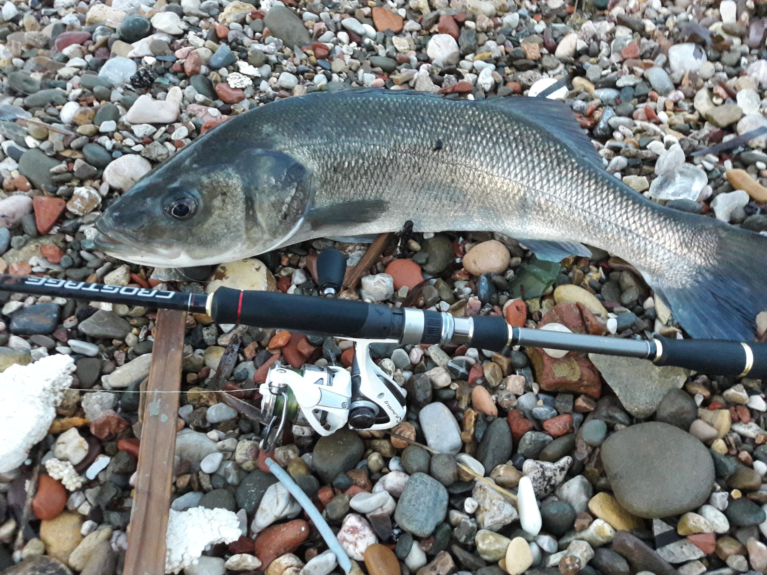 Ψάρεμα λαβράκι
