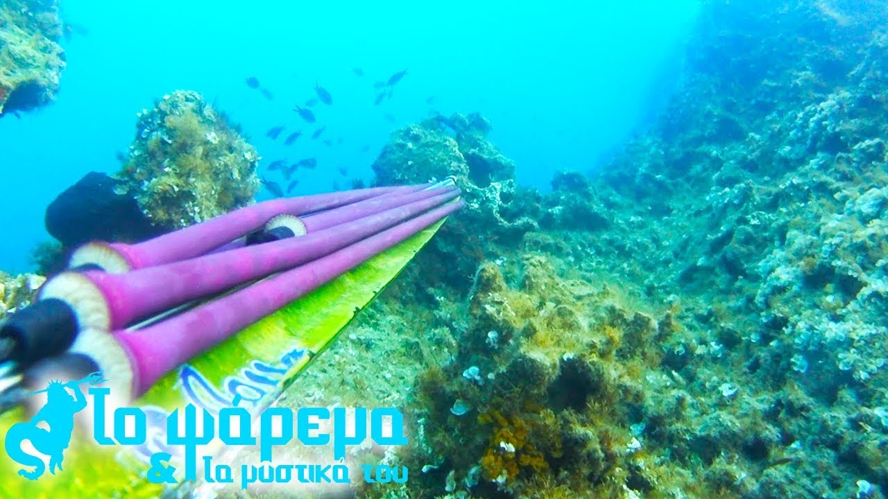 Ψαροντούφεκο που κόβει την ανάσα – Speargun Fishing – Η μαγεία της Θάλασσας