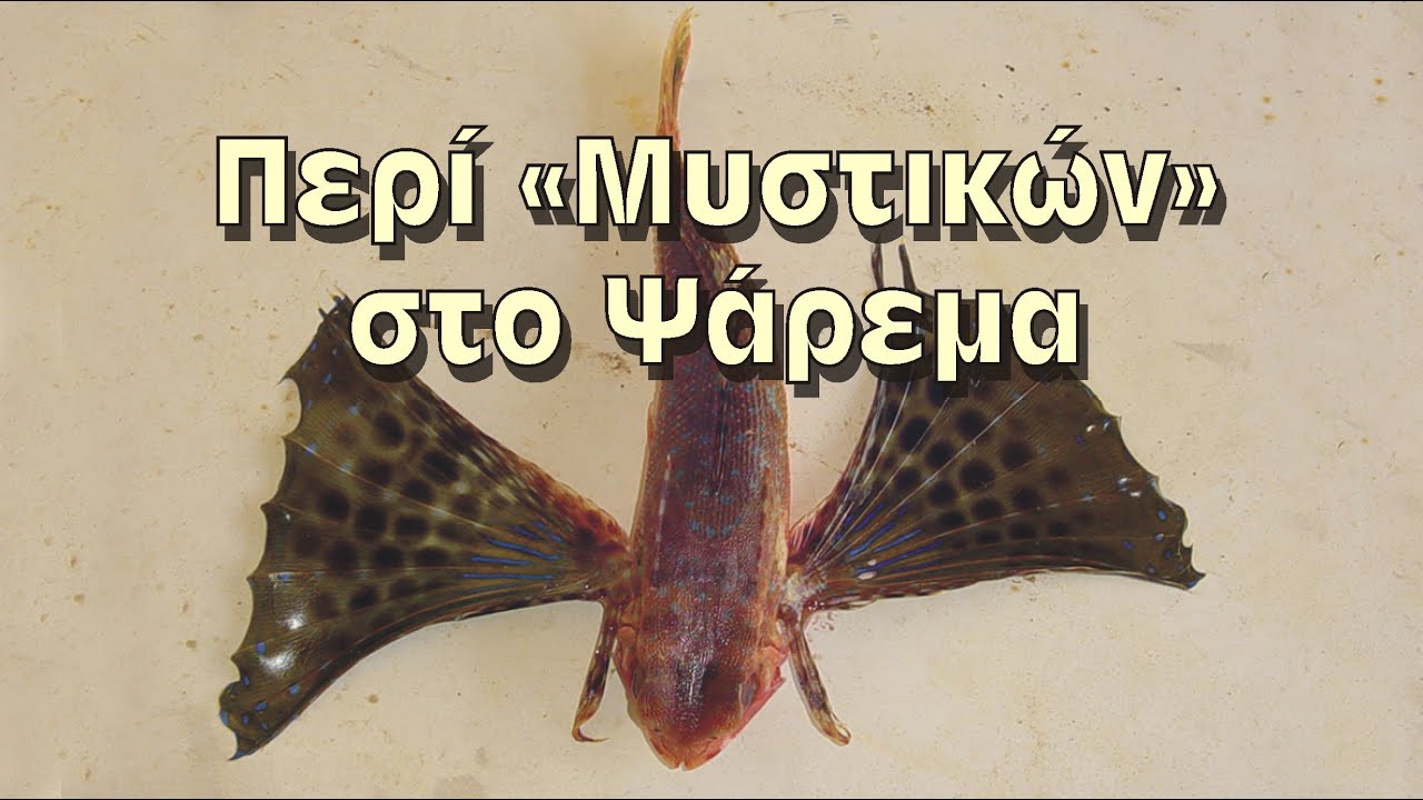 Περί «Μυστικών» Στο Ψάρεμα