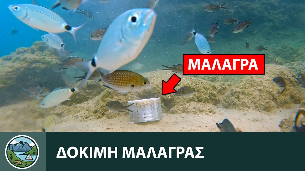 Δοκιμή Μαλάγρας για Ψάρεμα στο Βυθό με Φοβερά αποτελέσματα