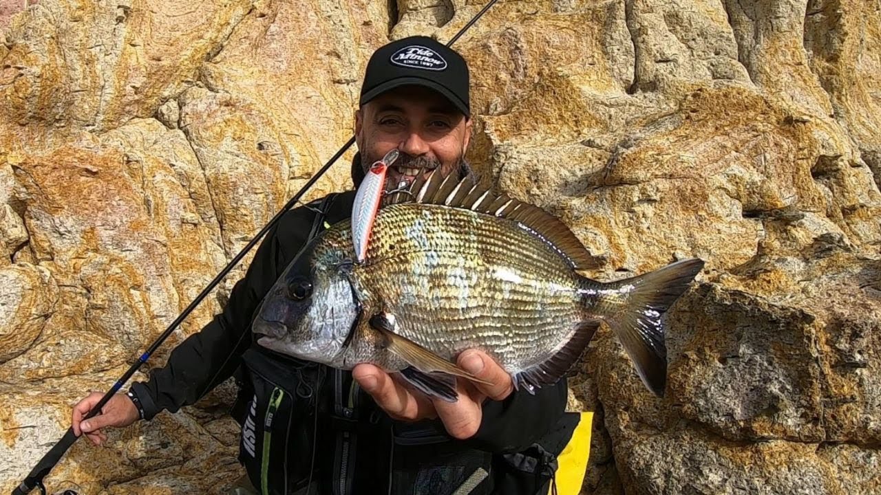 Ψάρεμα με πολλά strikes και με όμορφα δυνατά ψαράκια!