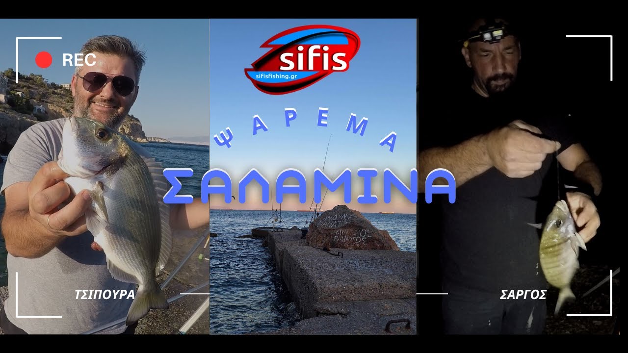 Ψάρεμα τσιπούρας στη Σαλαμίνα και όχι μόνο…