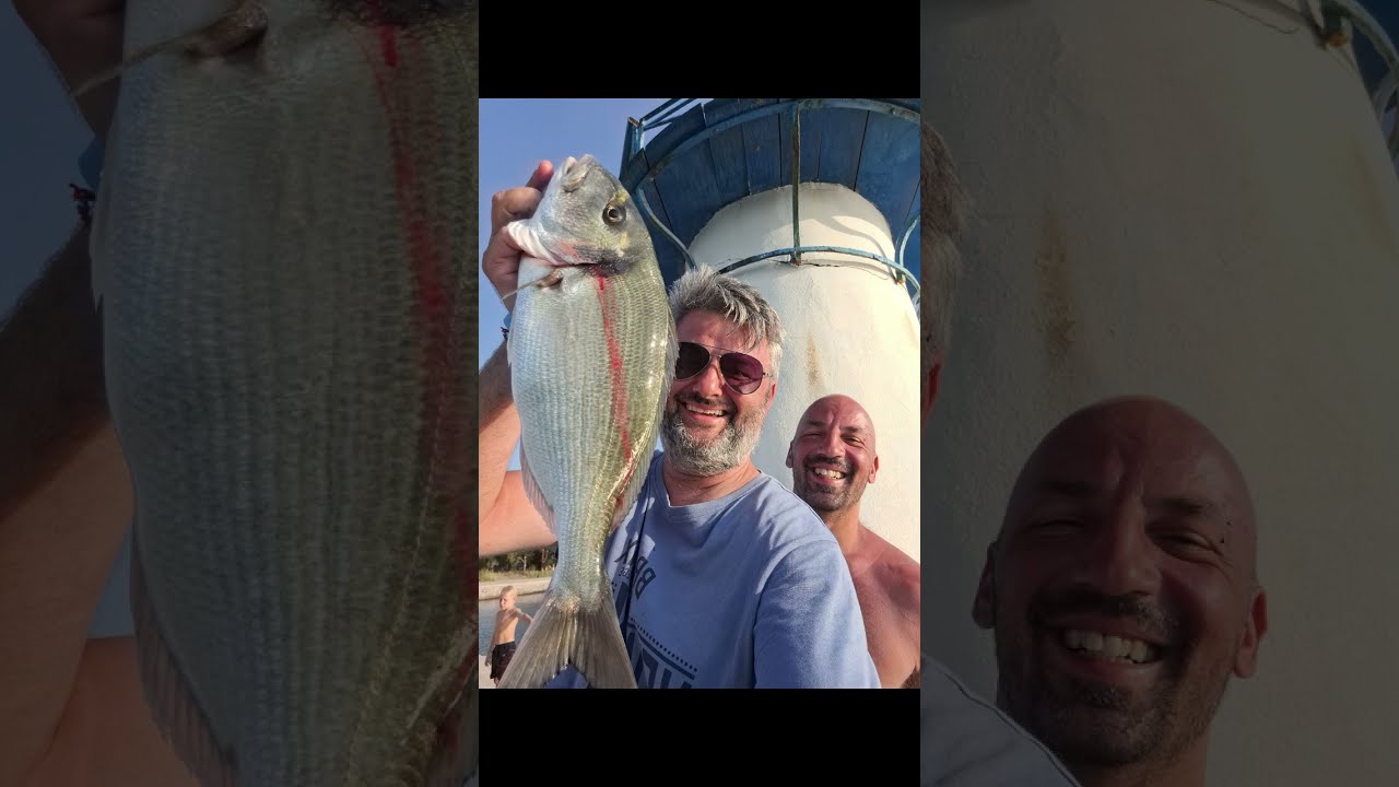 Ψάρεμα τσιπούρας σε μεγάλο μέγεθος!